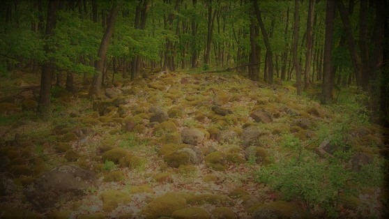 VAL OBROV NA SLOVENSKU, ZÁHADA ROZLÚŠŤENÁ - Slovanská kultura